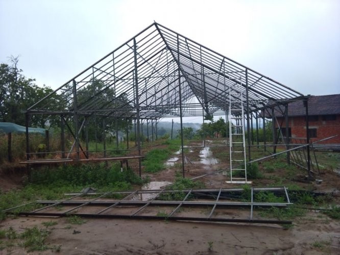 Staklenik - Plastenici i skladišta - Poljoprivredni oglasnik | Agroklub.com