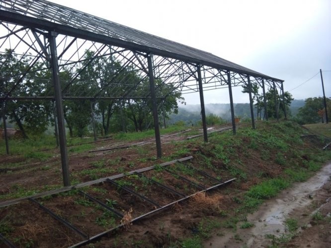 Staklenik - Plastenici i skladišta - Poljoprivredni oglasnik | Agroklub.com