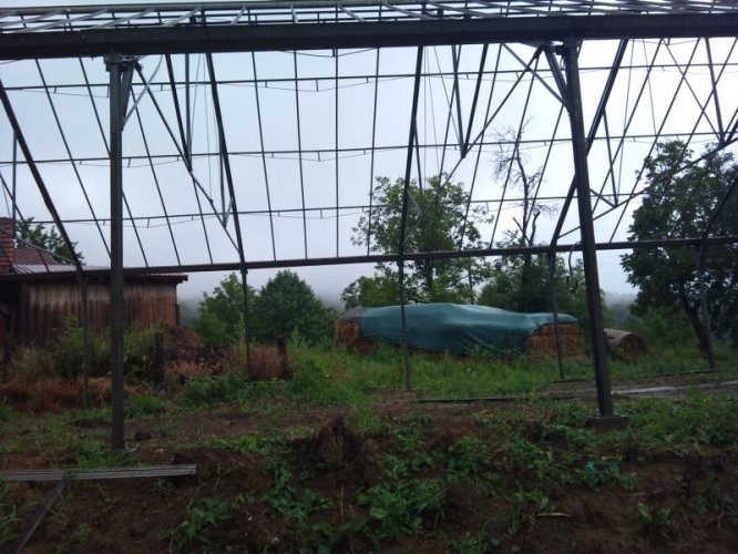 Staklenik - Plastenici i skladišta - Poljoprivredni oglasnik | Agroklub.com