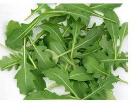 Eko povrće - Divlja rikula - Poljoprivredni proizvodi - Poljoprivredni ...