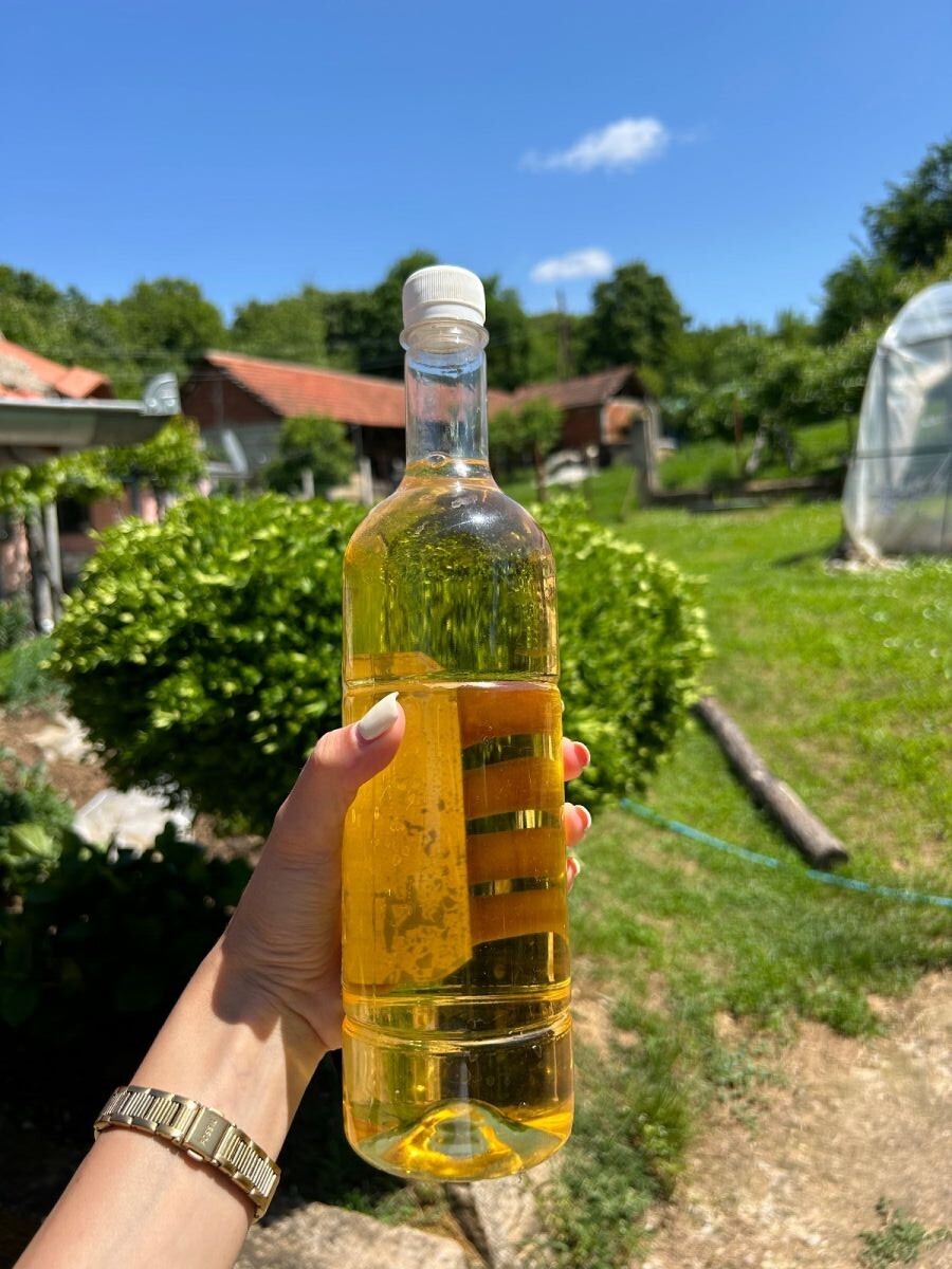 Domaća rakija od šljive - Vina, likeri i rakije - Poljoprivredni ...