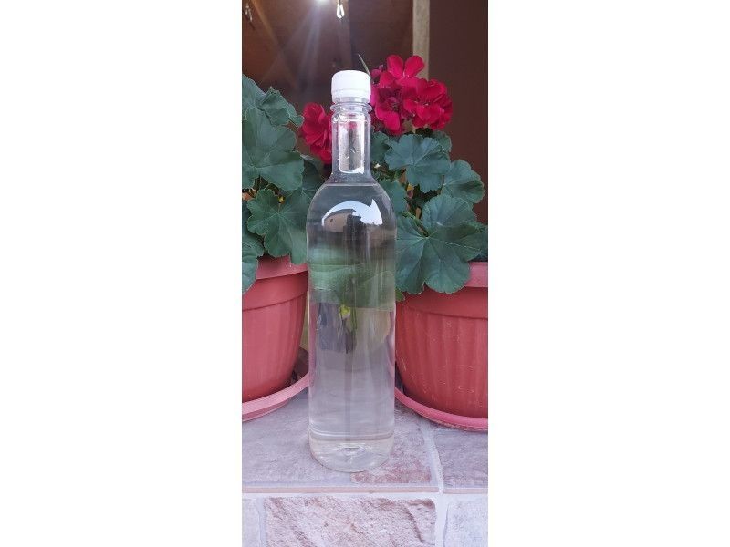 Domaća rakija šljivovica 0638090932 - Vina, likeri i rakije ...