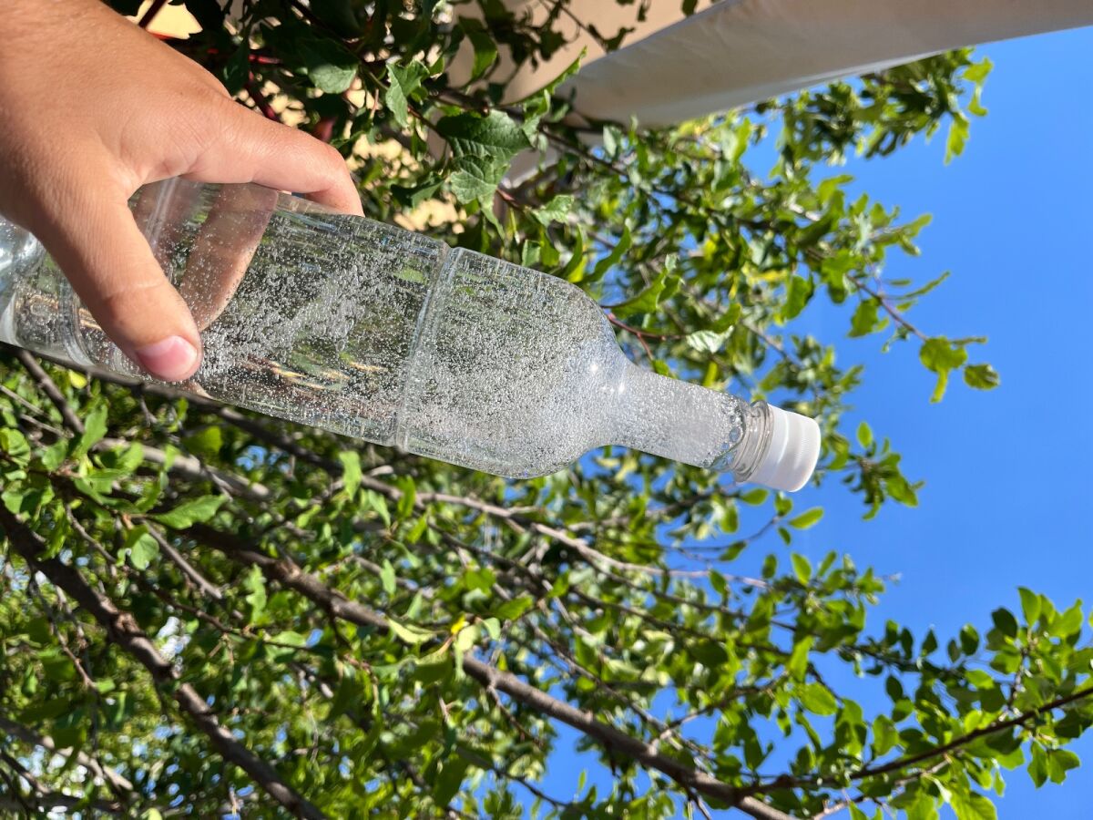 Domaca rakija sljiva prepecenica - Vina, likeri i rakije ...