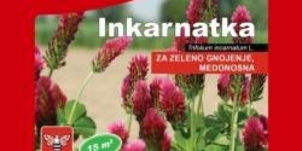 INKARNATKA CONTEA - Sjemenska roba - Poljoprivredni oglasnik | Agroklub.com