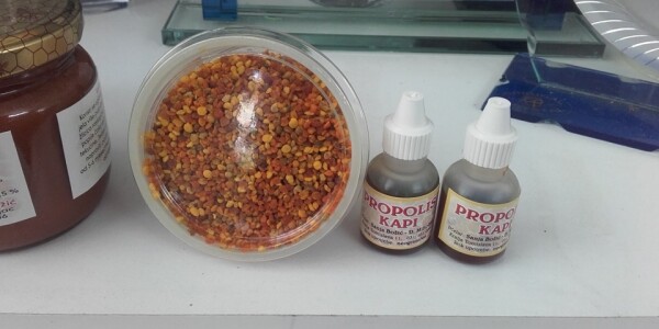 Pčelinje sače sa OPG Božić djeluje protuupalno - Poljoprivredni ...