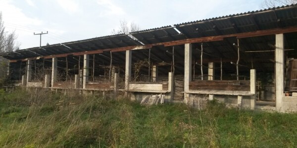 Farma za tov bikova - Poljoprivredna zemljišta - Poljoprivredni ...