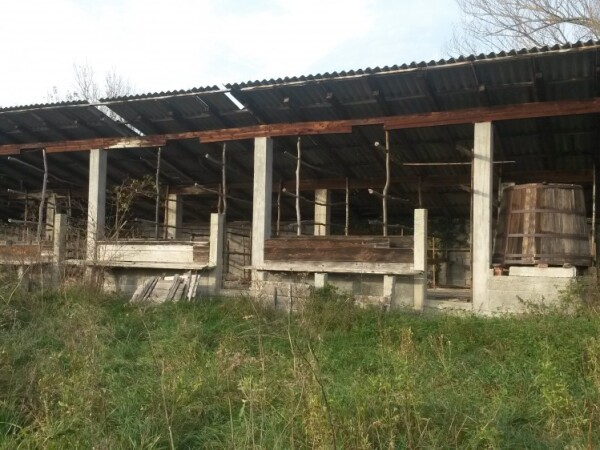 Farma za tov bikova - Poljoprivredna zemljišta - Poljoprivredni ...