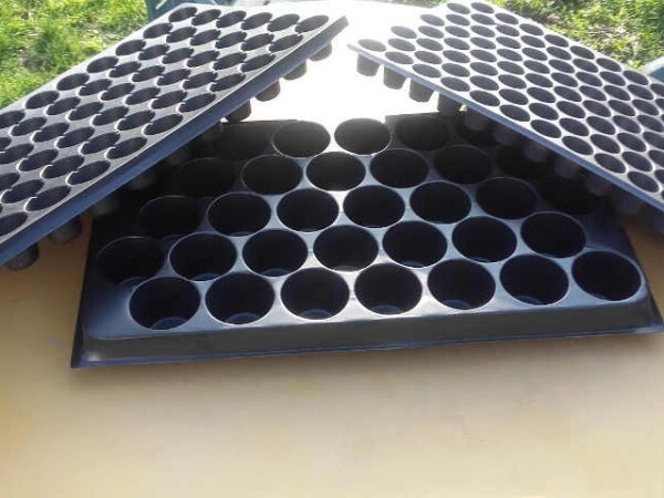 KONTEJNERI za rasad povrća i cveća - Plastenici i skladišta ...