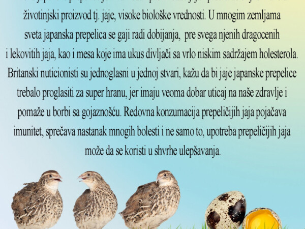 Prodaja jaja japanske prepelice - Domaće životinje - Poljoprivredni ...
