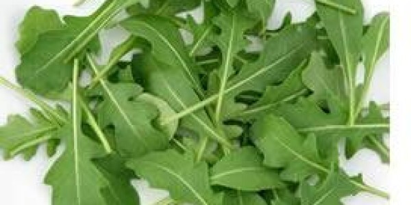 Eko povrće - Divlja rikula - Poljoprivredni proizvodi - Poljoprivredni ...