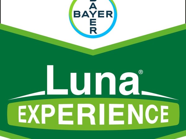 LUNA Privilege - Fungicidi - Poljoprivredni oglasnik | Agroklub.com