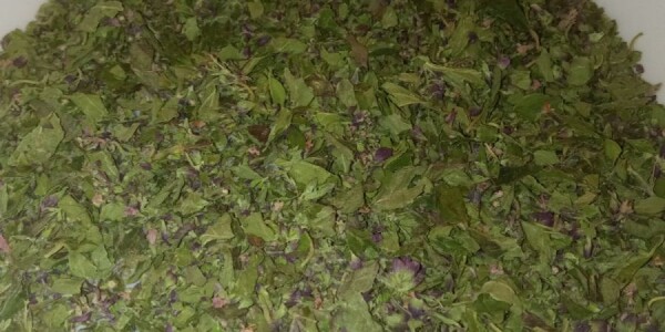 Divlji origano caj - Usluge i ostalo - Poljoprivredni oglasnik ...