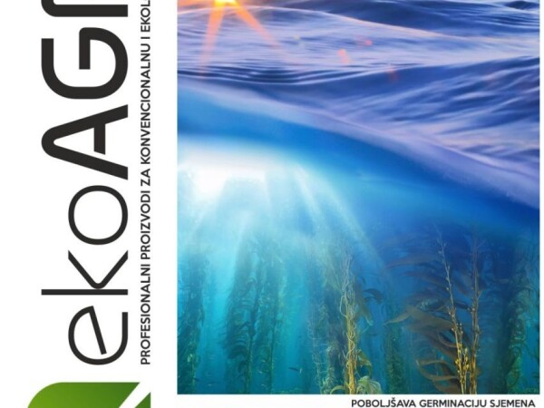 Morske Alge – Ascophyllum nodosum - Gnojiva - Poljoprivredni oglasnik ...