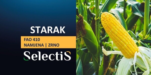 STARAK - SelectiS hibrid kukuruza - Sjemenska roba - Poljoprivredni oglasnik | Agroklub.com