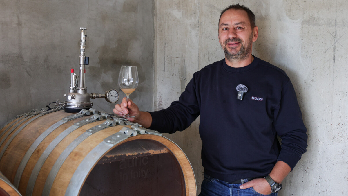 Auric Infinity bačve za vino - proizvodnja bez aditiva - Samir Nađ ...