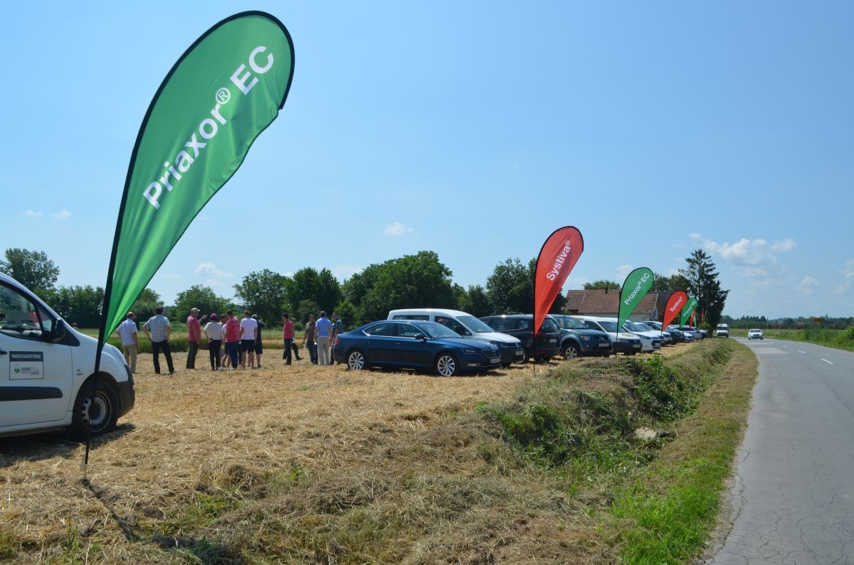 Dani polja BASF Croatia - Fotoprilozi | Agroklub.com