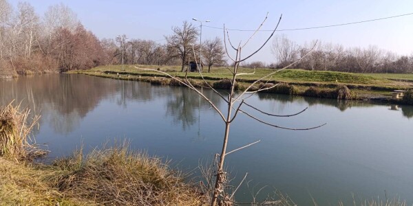 Jezero Kupatilo u selu Voganj - Foto prilozi | Agroklub.rs