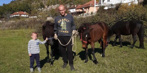 Bosanski brdski konj na imanju Vlade Rašića - Fotoprilozi | Agroklub.ba