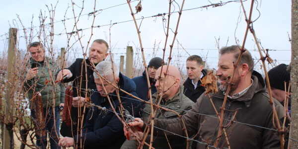 Vinkovo 2025 na pokušalištu FAZOS-a - Fotoprilozi | Agroklub.com