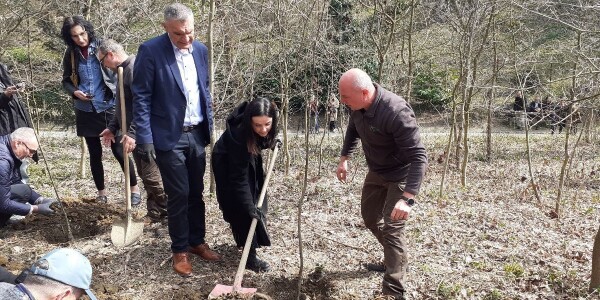 Dan šuma uz sadnju 200 stabala hrasta - Fotoprilozi | Agroklub.com