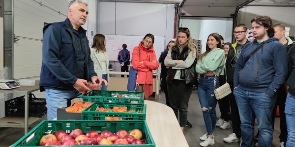 Otkupni centar tvrtke Enna Fruit u Donjem Miholjcu - Fotoprilozi ...
