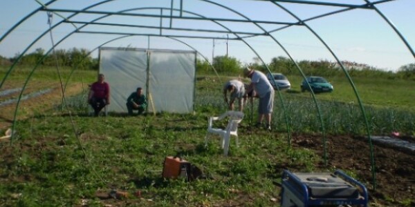 OPG Mario Todorović - Foto prilozi | Agroklub.rs