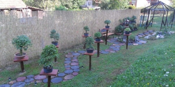 Japanski vrt - Fotoprilozi | Agroklub.ba