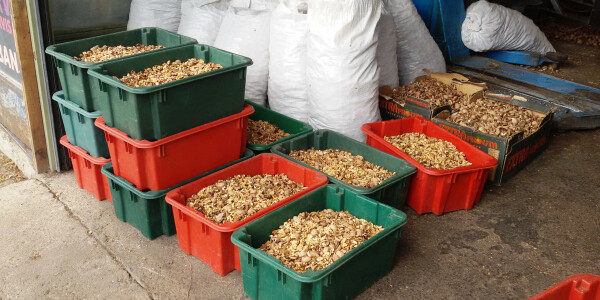 orah - Foto prilozi | Agroklub.rs