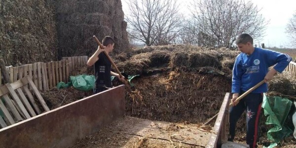 Pavle Avramović, stočar iz Neradina - Foto prilozi | Agroklub.rs