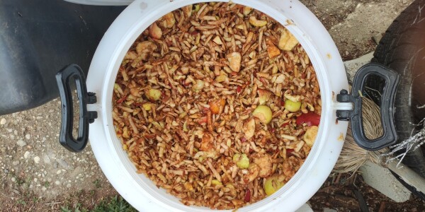 Fermentacija oko nas - Fotoprilozi | Agroklub.com