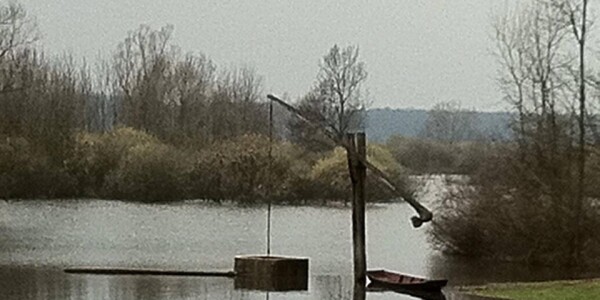 Pašnjak Iva - Fotoprilozi | Agroklub.com