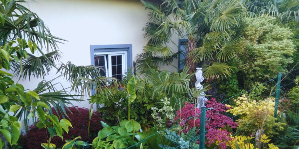 Tropski vrt podno Medvednice - Fotoprilozi | Agroklub.com