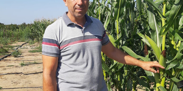 Dejan Ivanović - Foto prilozi | Agroklub.rs