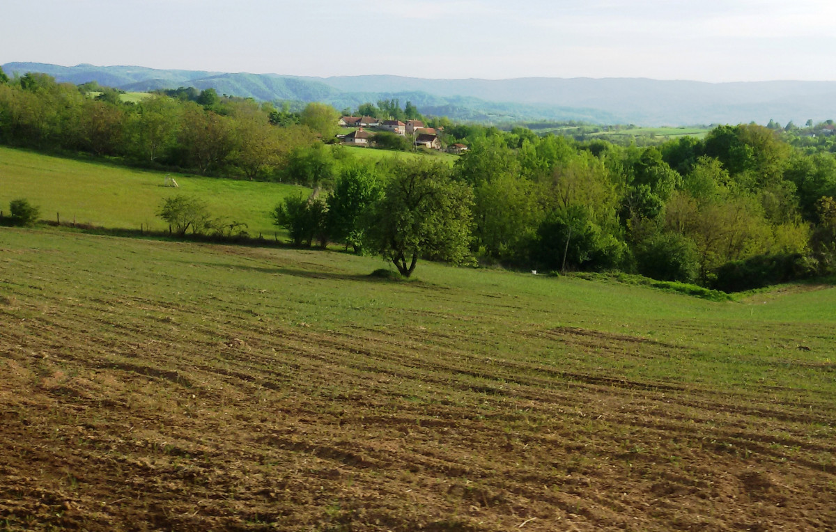 zemljiste - Fotoprilozi | Agroklub.com