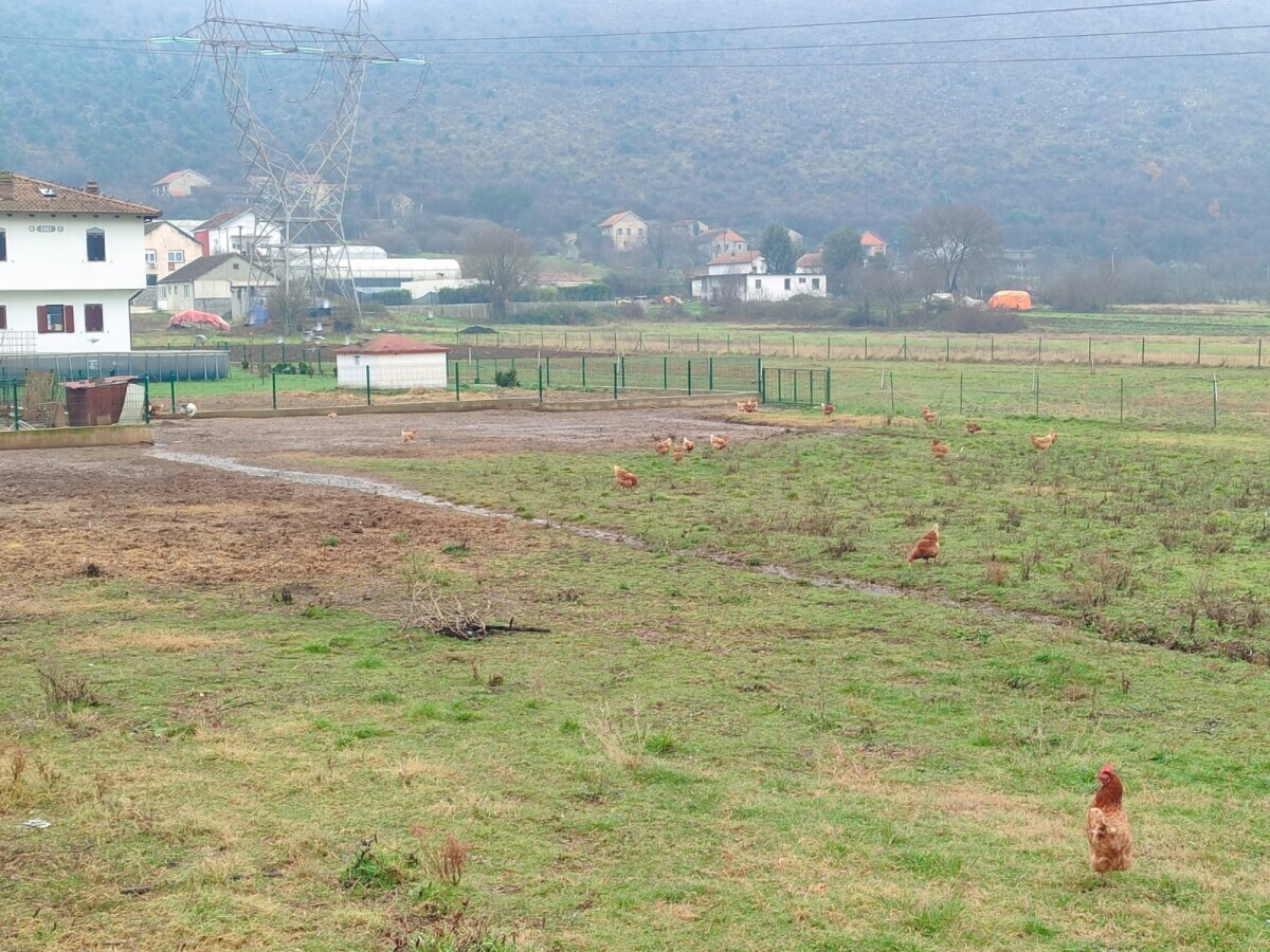 Stradala poljoprivredna imanja u Hercegovini: "Što je uzorano to je ...