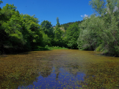 BIOM olovna sačma - Fotoprilozi | Agroklub.com