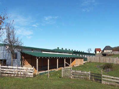 Farma koza "Perkan" - Foto prilozi | Agroklub.rs