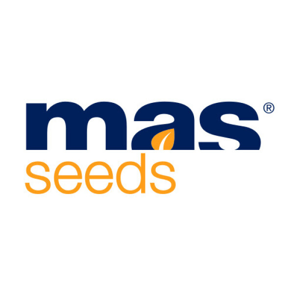 MAS Seeds | Agroklub.com