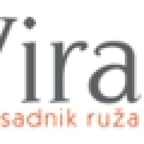 Rasadnik ruža Virag | Agroklub.com