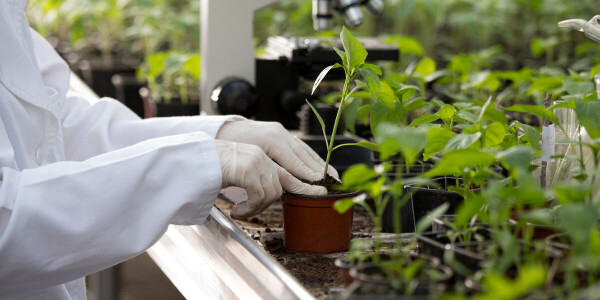 Programi cjeloživotnog učenja iz Zaštite bilja - prijave u tijeku ...