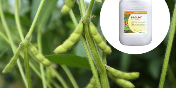 PROLEO®: Folijarno gnojivo pogodno za ekološku proizvodnju - Zid ...