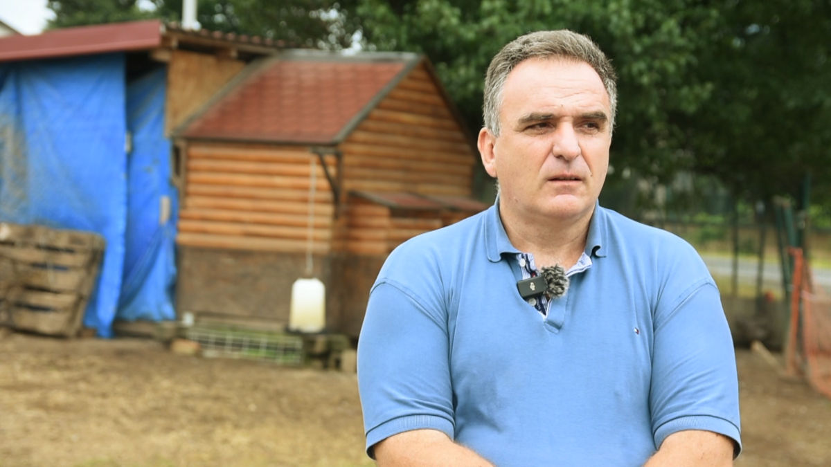 Bob - Uzgoj, Gnojidba, Sorte, Sadnja, Sjetva, Berba, Žetva, Uporaba ...