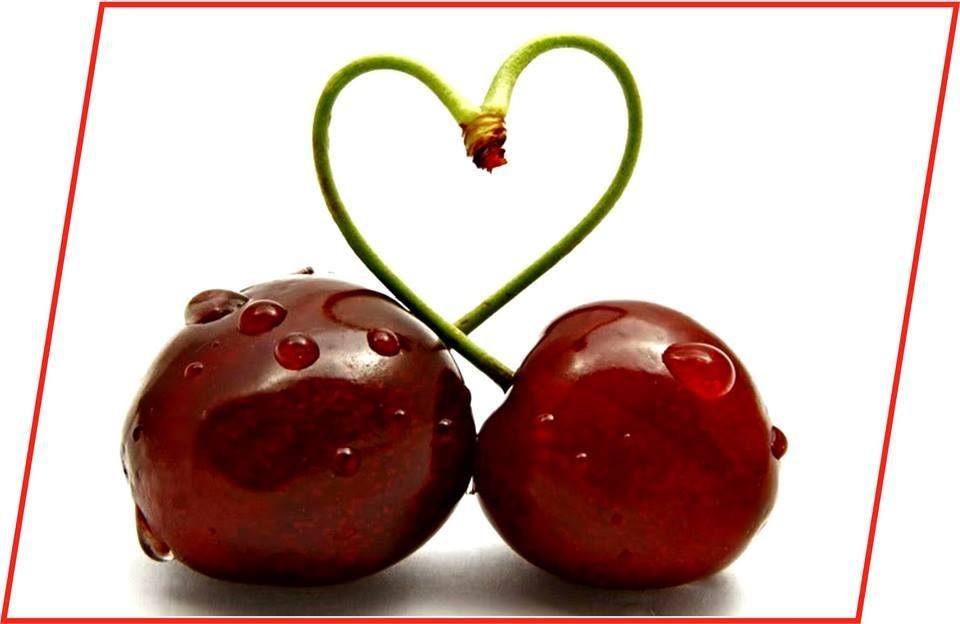 Višnja - Gajenje, Đubrenje, Sorte, Sadnja, Setva, Berba, Žetva ...