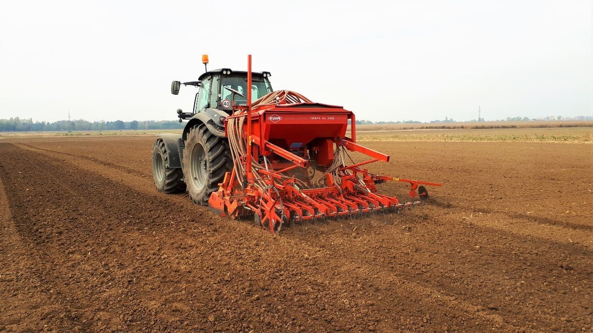 Šećerna repa - Uzgoj, Gnojidba, Sorte, Sadnja, Sjetva, Berba, Žetva ...