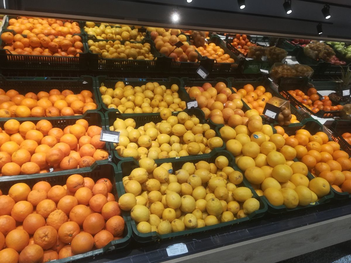 Korijander, začin i čistač otrova iz organizma - Ukrasno i ljekovito ...