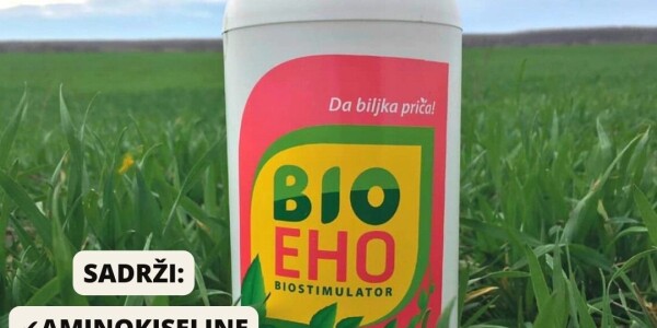 BioEho je prirodni biostimulator 🌱 koji sadrži AM... - Zid - Biofor System d.o.o. | Agroklub.com