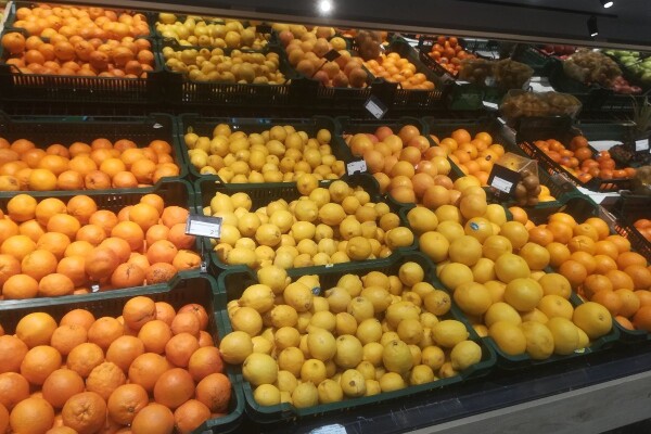 Korijander, začin i čistač otrova iz organizma - Ukrasno i ljekovito ...