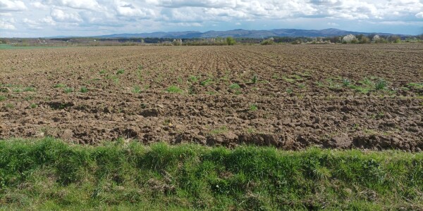 Šta je plodored i zbog čega ga treba primjenjivati? - Ratarstvo ...