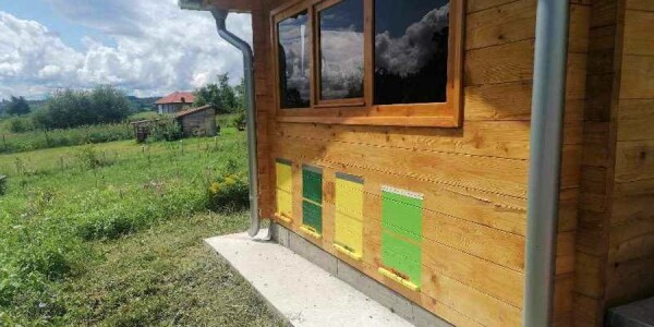 API komore - sve što pčela unese u košnicu, udišemo direktno u pluća ...