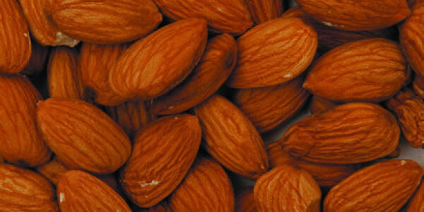 Poticajna sadnja badema - Voćarstvo | Agroklub.com